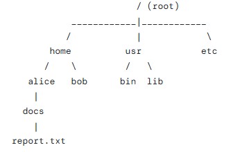 File & Secondary Storage Management - Coders Helpline