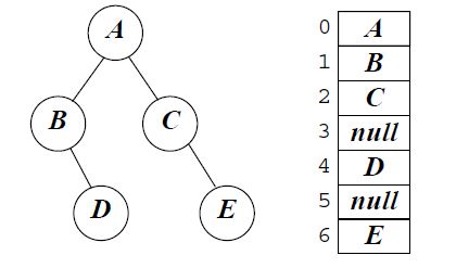 Binary Tree - Coders Helpline